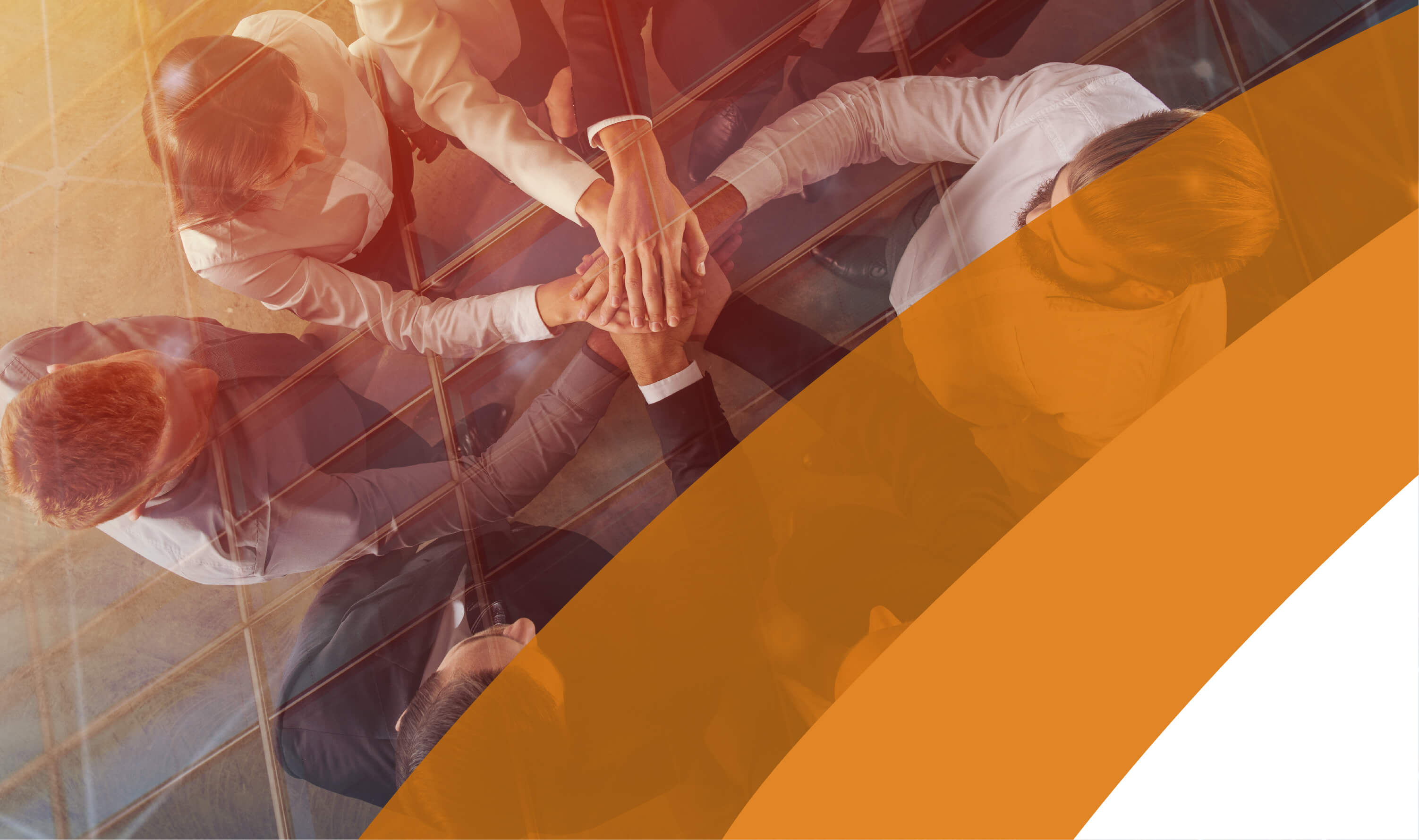Delivering Program Transformation with a Total Talent Solution